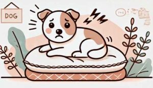 Menstruación en las Perras: Entendiendo el Ciclo Estral